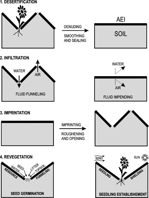 Index of /scientific-conservation/original papers/diagrams Index of /scientific-conservation/original papers/diagrams
